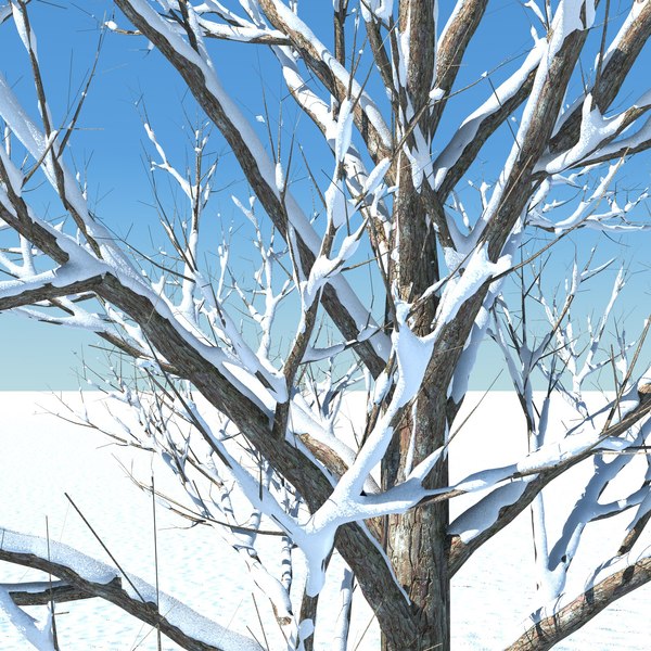 3d snow tree model