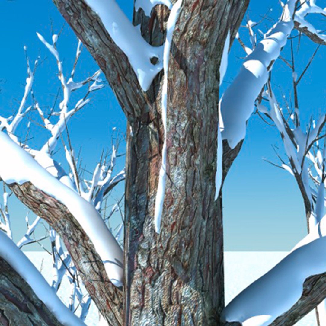 3d Snow Tree Model