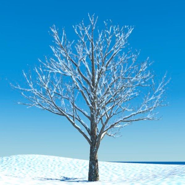3d snow tree model