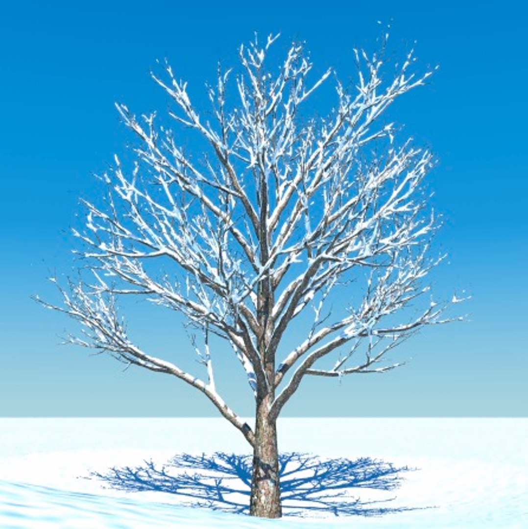 3d Snow Tree Model