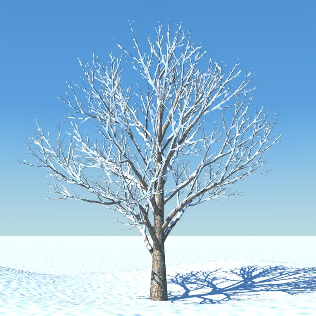 3d Snow Tree Model