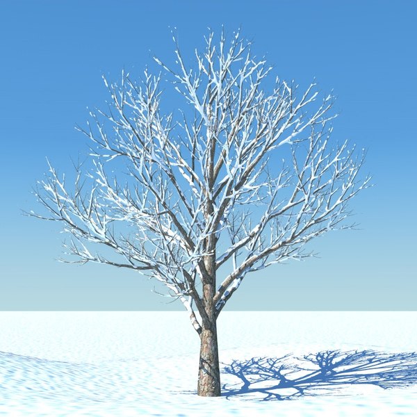 3d snow tree model