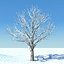 3d Snow Tree Model
