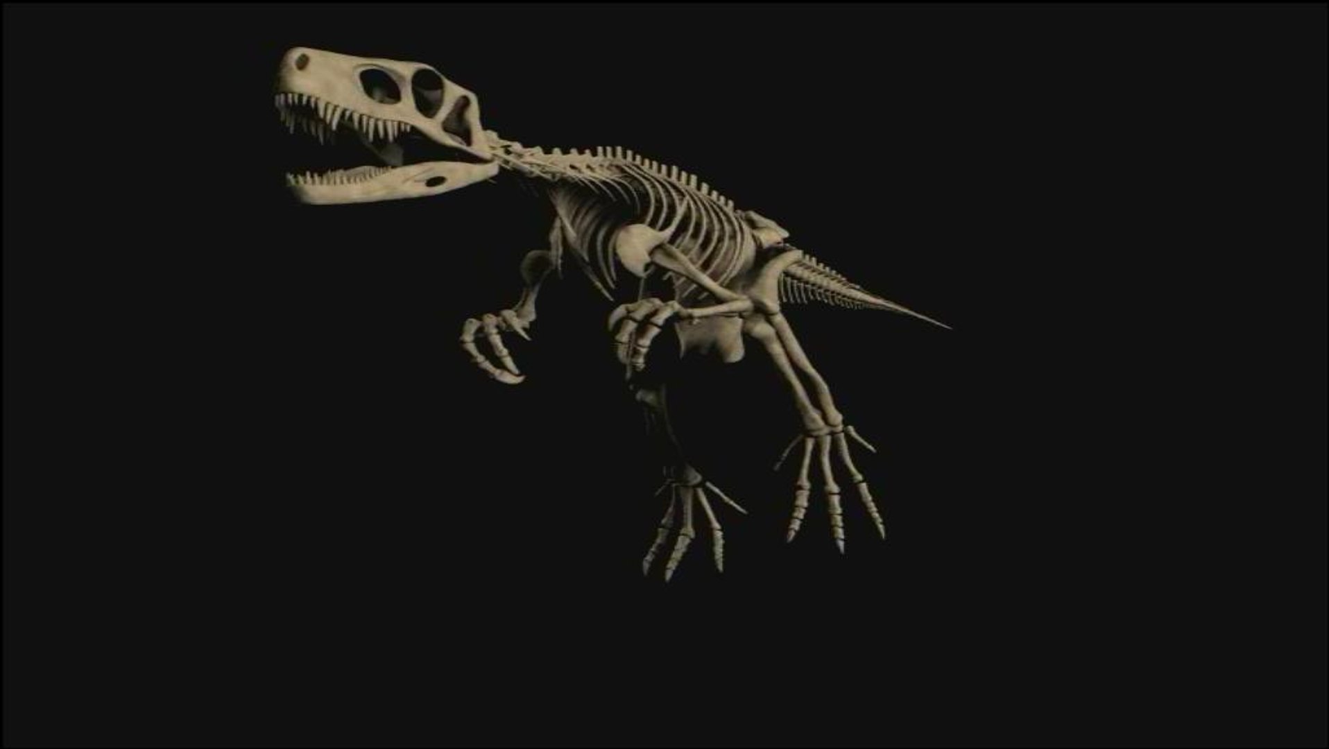 Herrerasaurus Dinosaur 3d Model