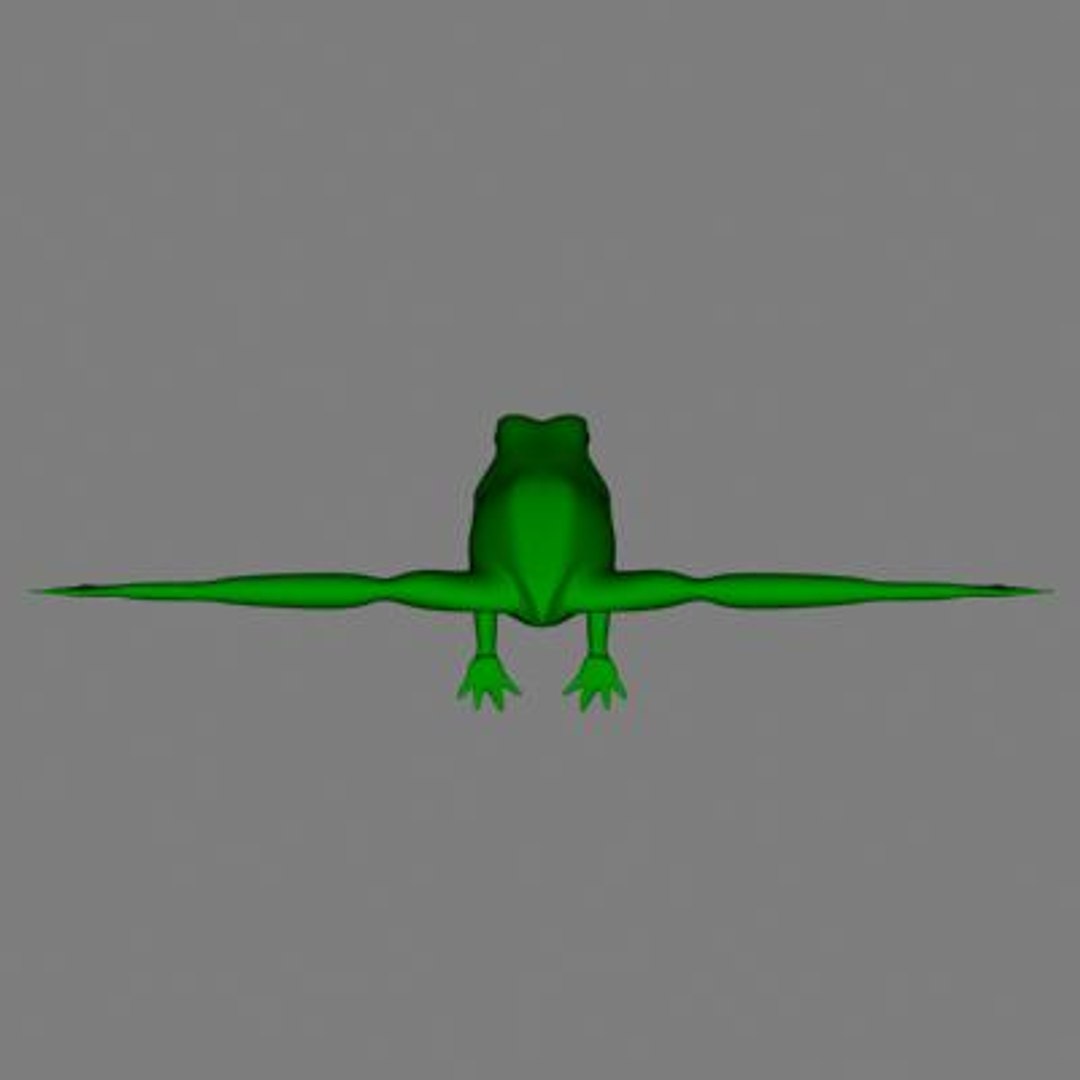 frog 3d model