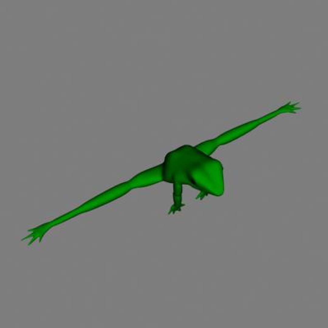 frog 3d model