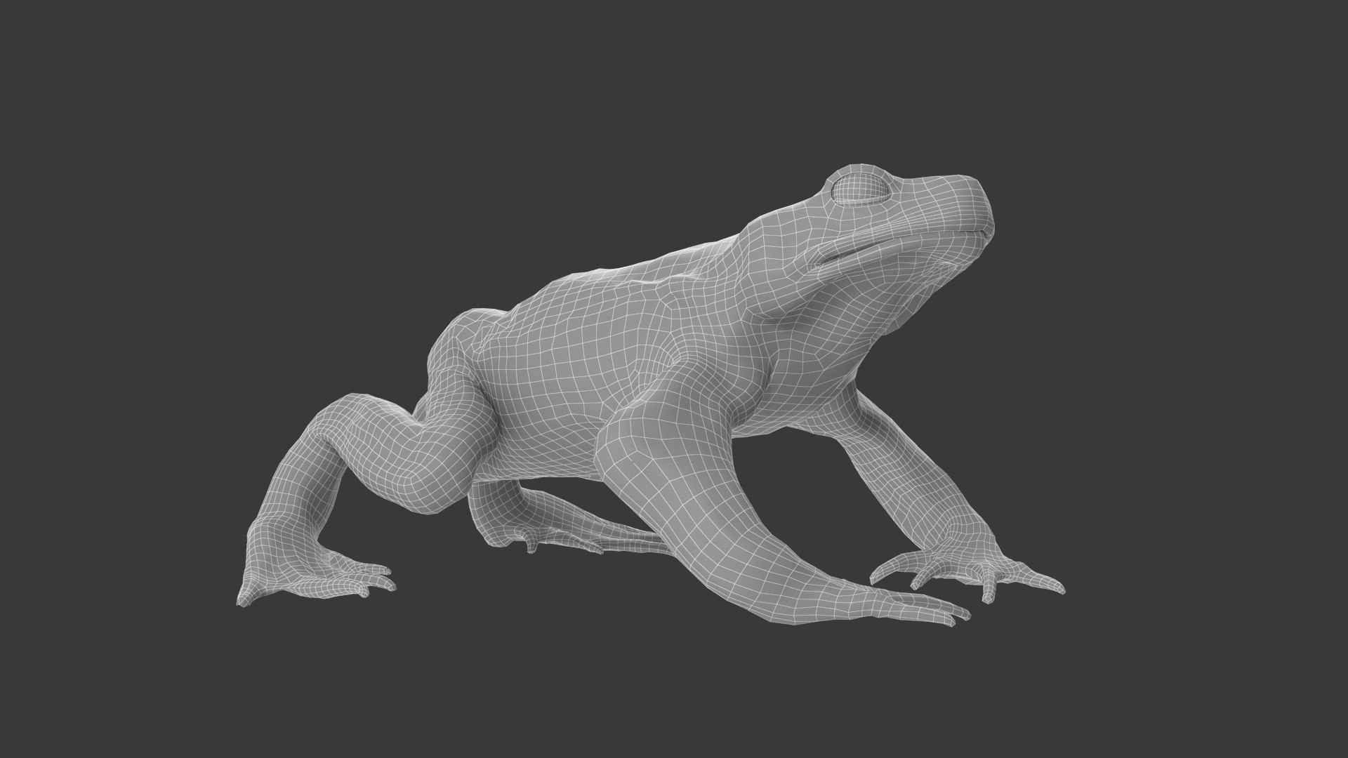 3D Model Swimming Toad Rigged And Animated - TurboSquid 1978191