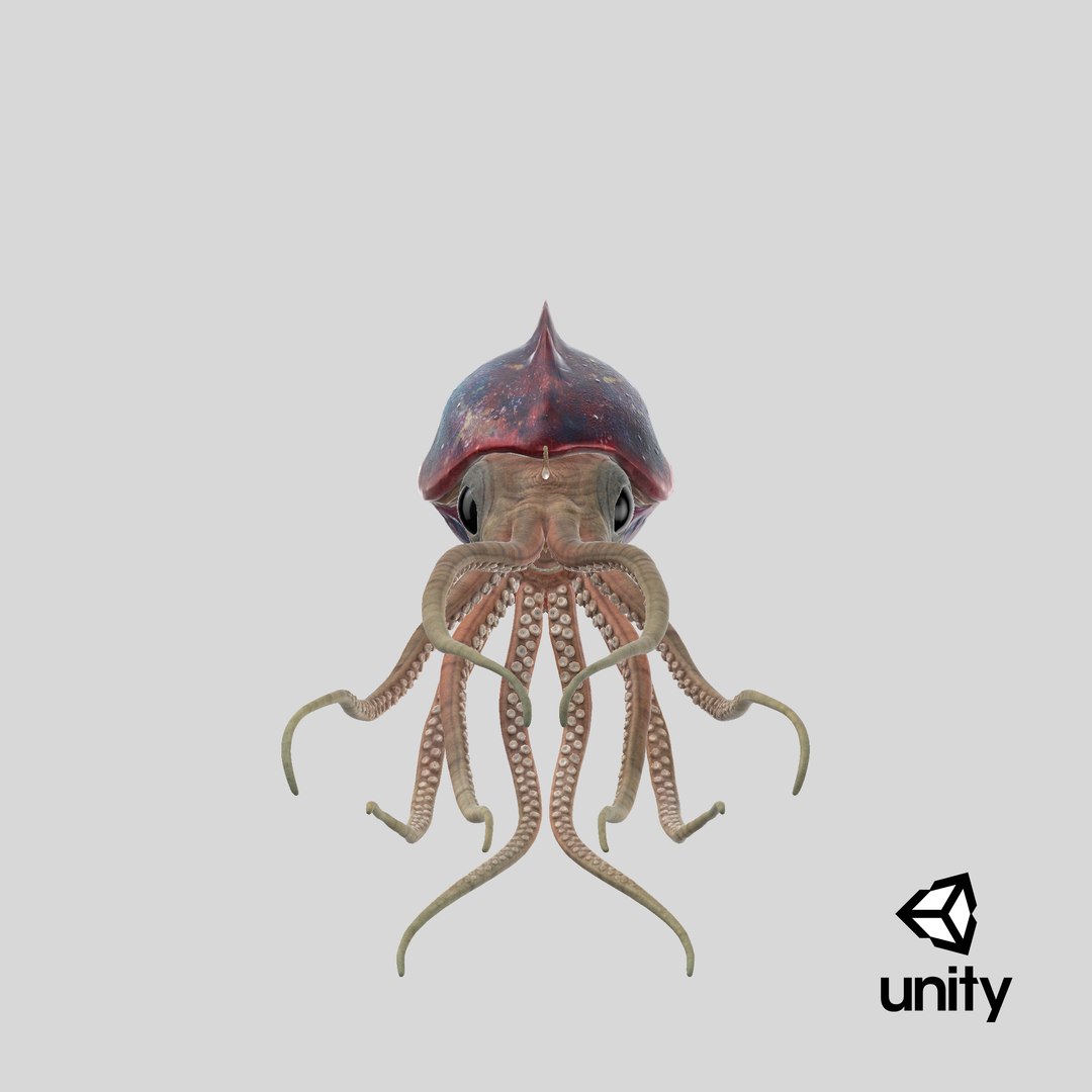 Squid creature model - TurboSquid 1271008