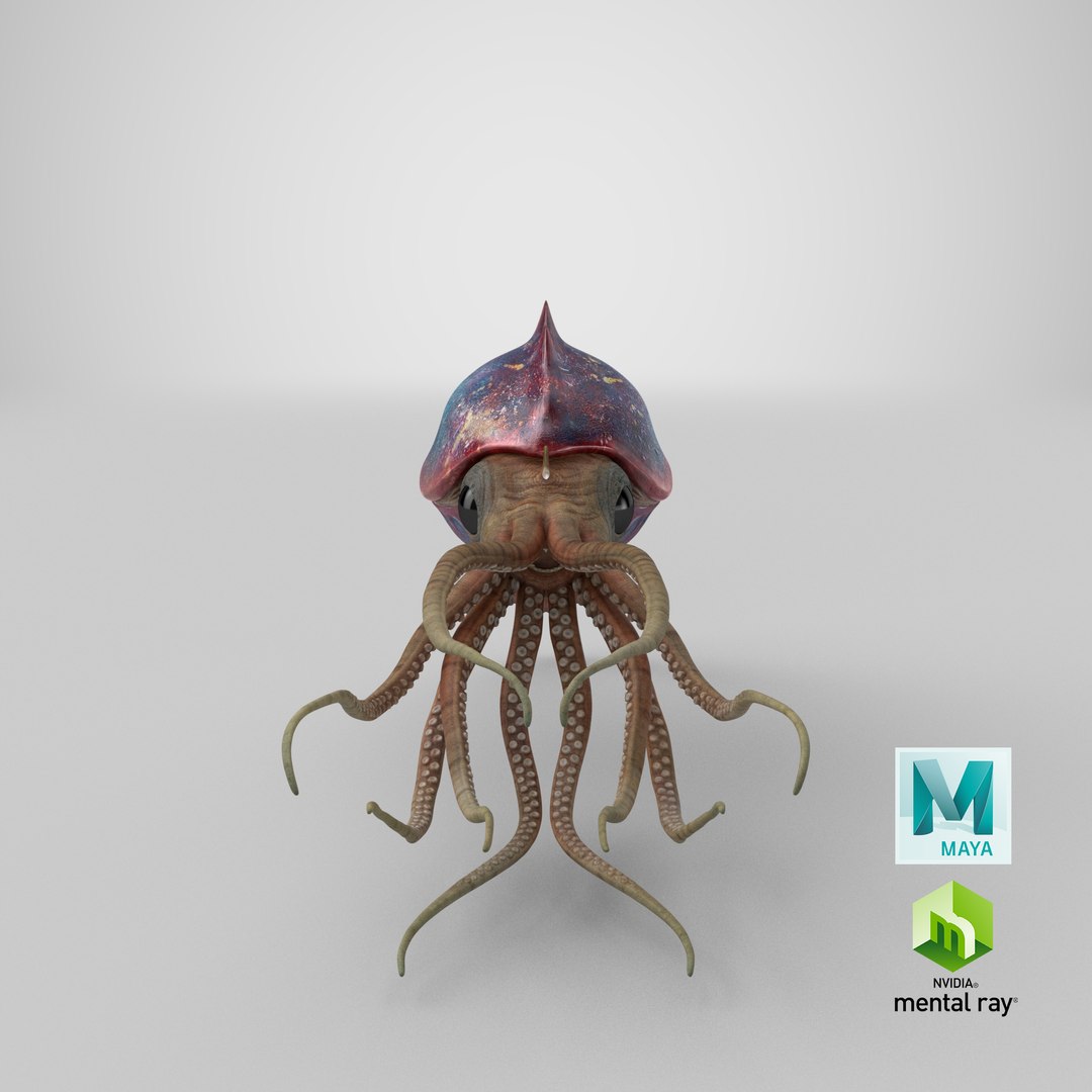Squid creature model - TurboSquid 1271008