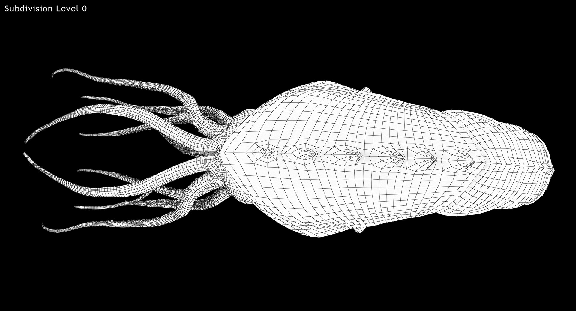 Squid Creature Model - TurboSquid 1271008