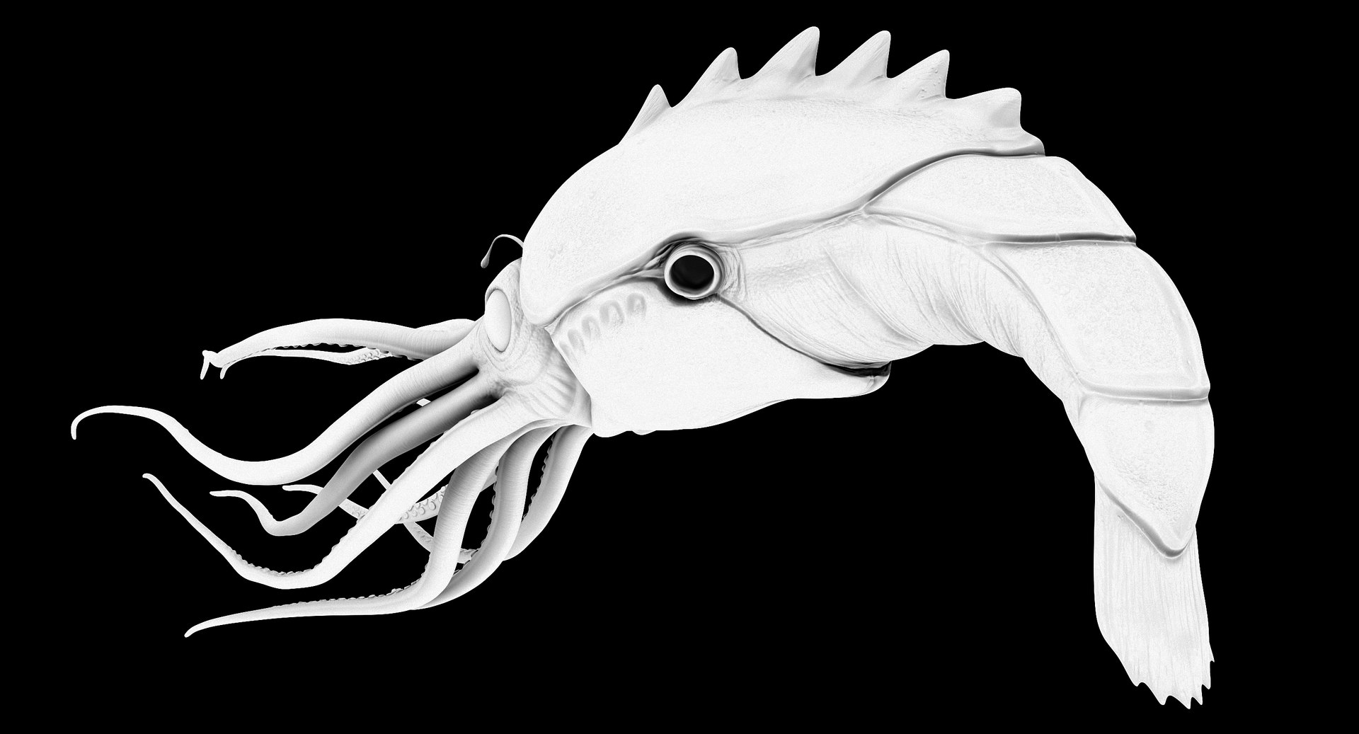Squid creature model - TurboSquid 1271008