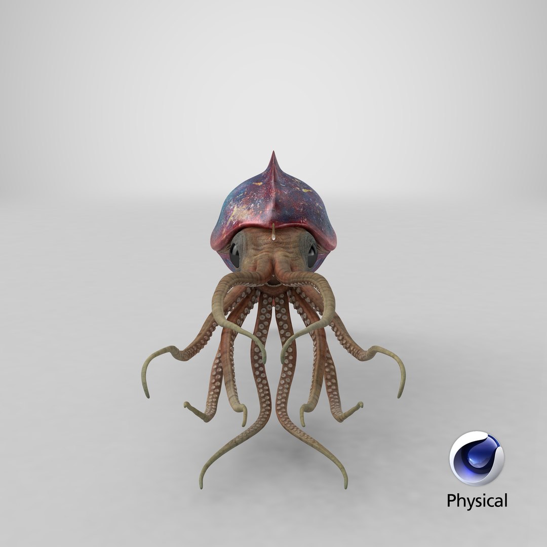 Squid creature model - TurboSquid 1271008