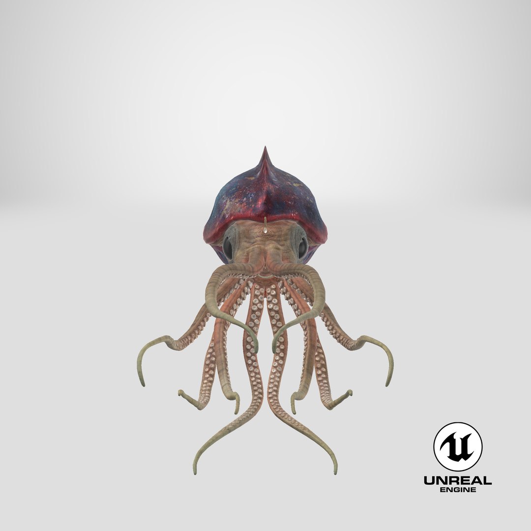 Squid creature model - TurboSquid 1271008