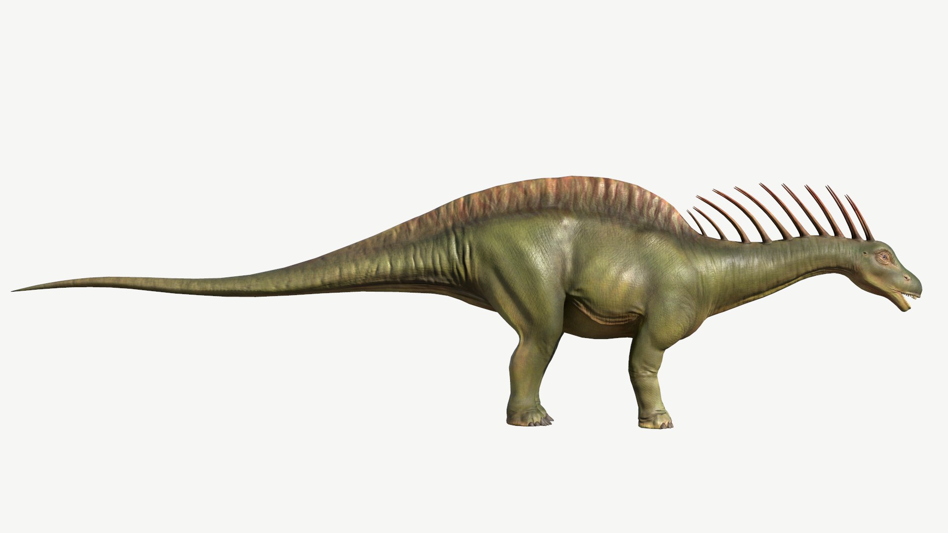 Amargasaurus 3D - TurboSquid 1919560