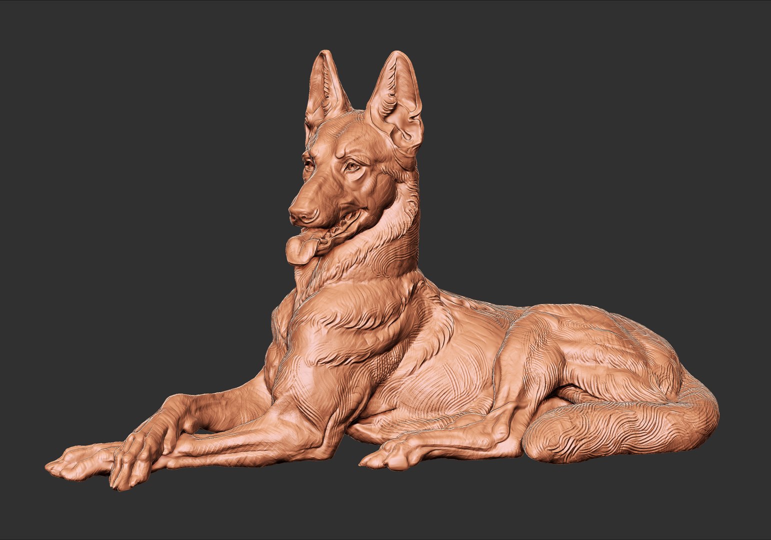 Belgian malinois 3D model - TurboSquid 1317119