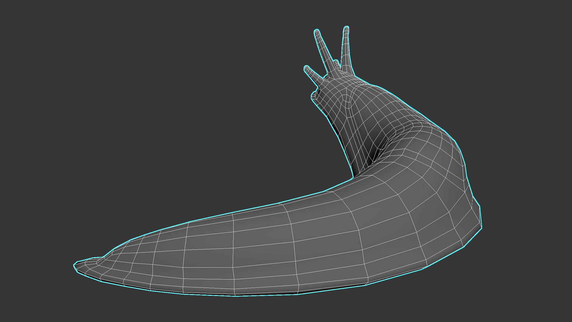 3D Leopard Slug model - TurboSquid 2044537