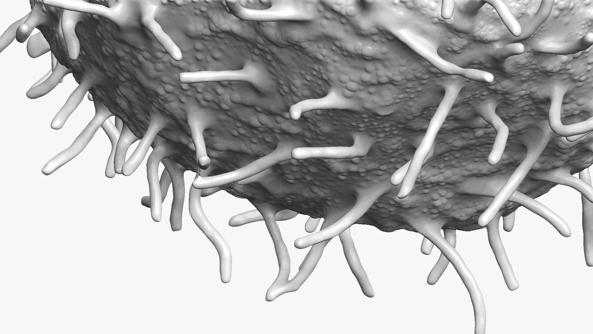 Epithelial Cell 3D Model - TurboSquid 1842889