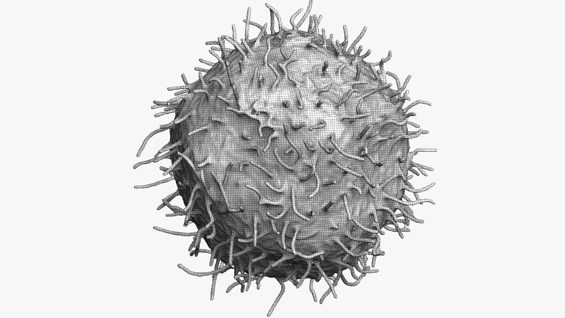 Epithelial Cell 3D Model - TurboSquid 1842889