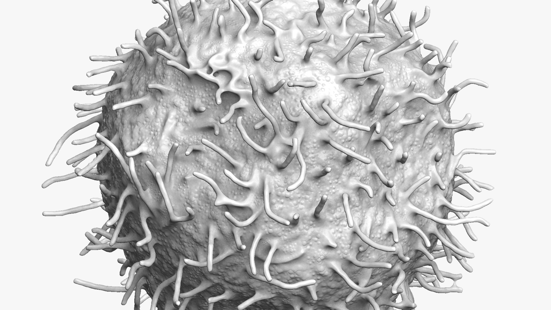 Epithelial Cell 3D Model - TurboSquid 1842889