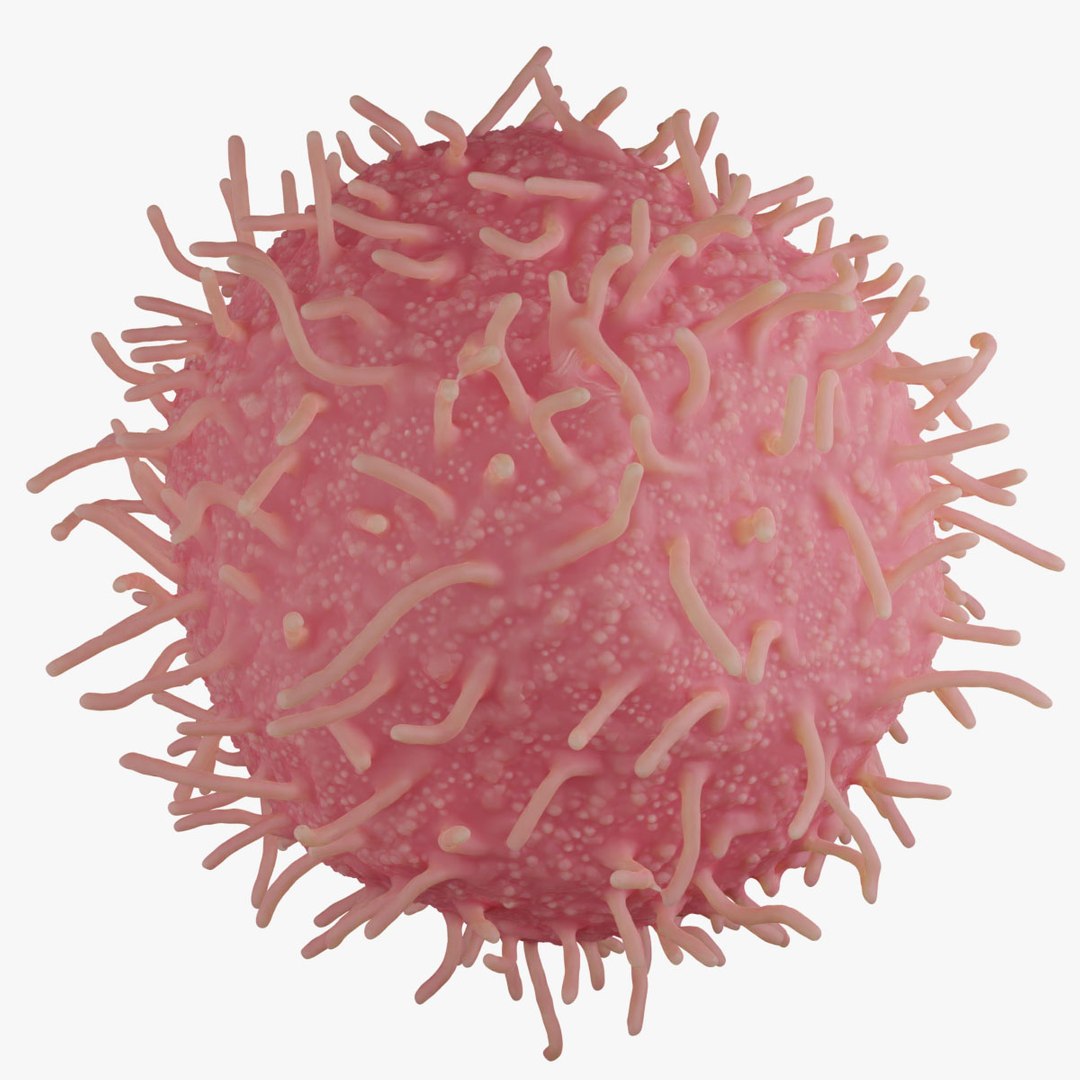 Epithelial Cell 3D Model - TurboSquid 1842889