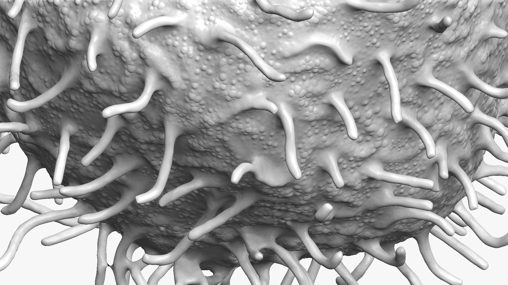 Epithelial Cell 3D Model - TurboSquid 1842889