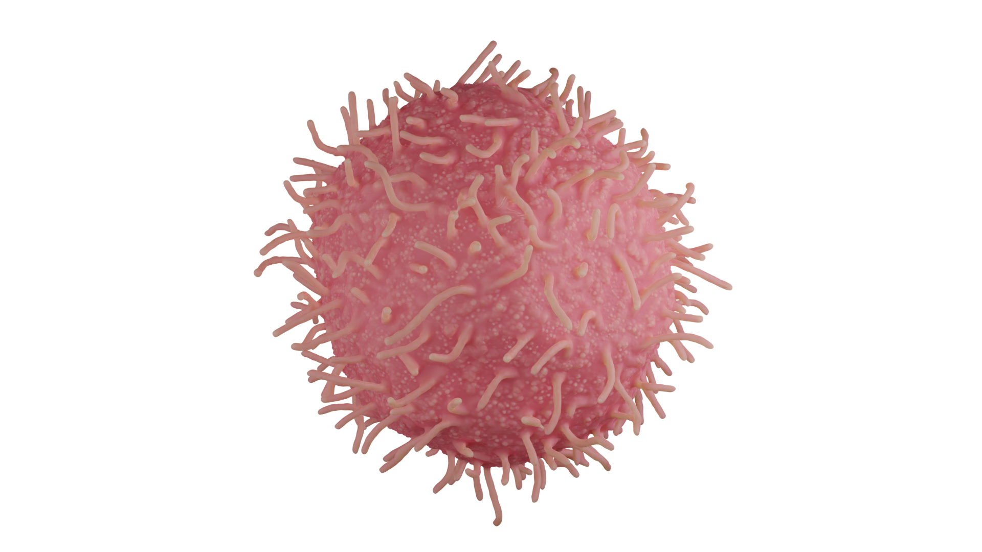 Epithelial Cell 3D Model - TurboSquid 1842889
