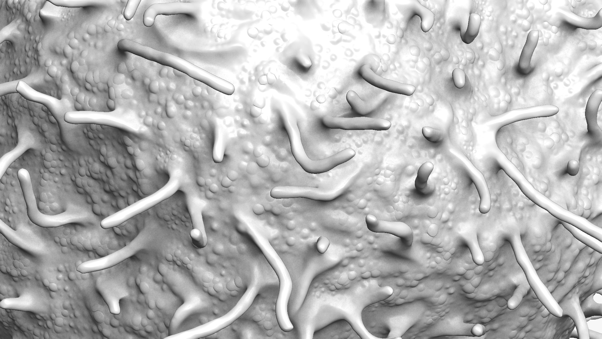 Epithelial Cell 3D Model - TurboSquid 1842889