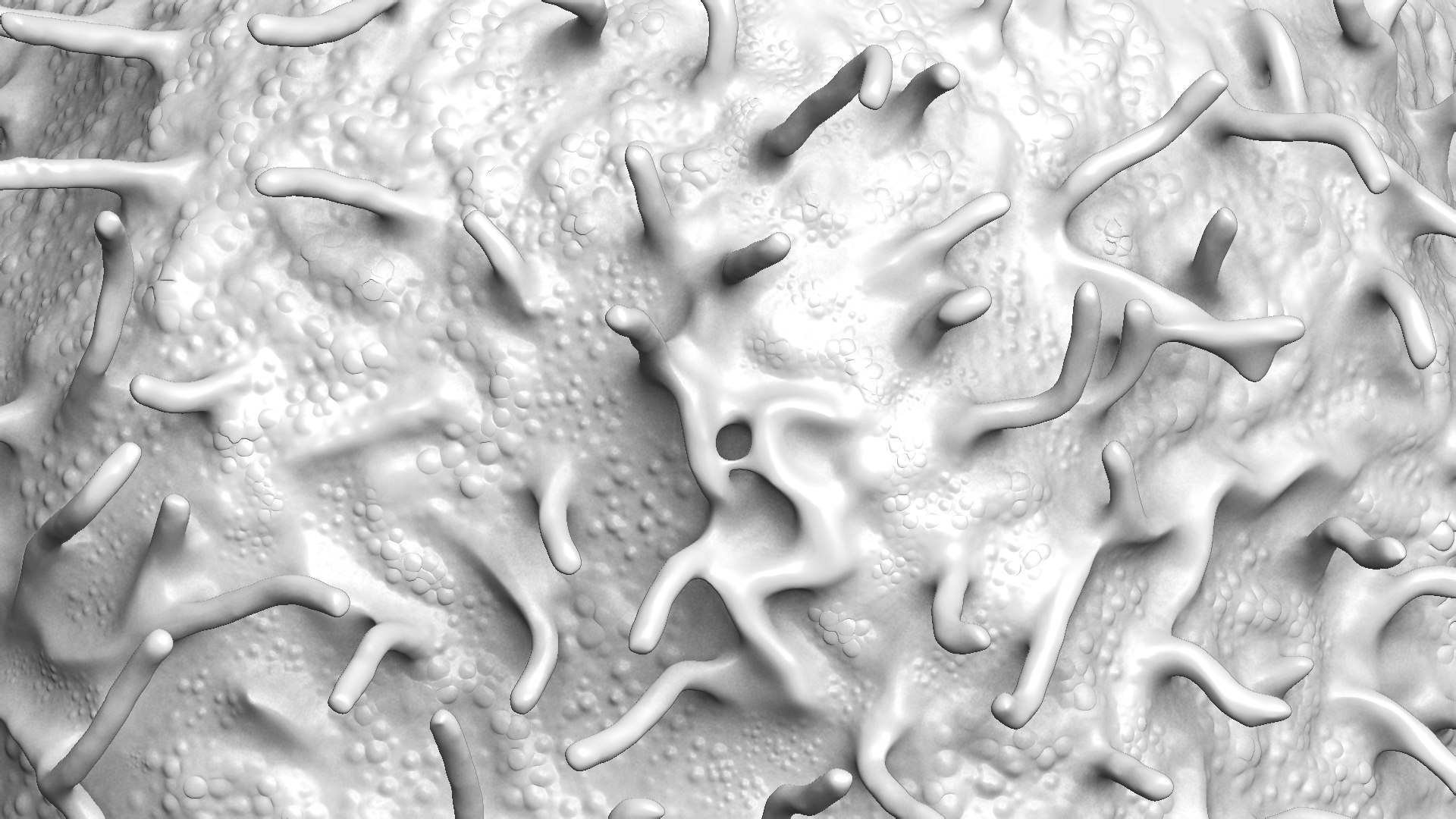Epithelial Cell 3D Model - TurboSquid 1842889
