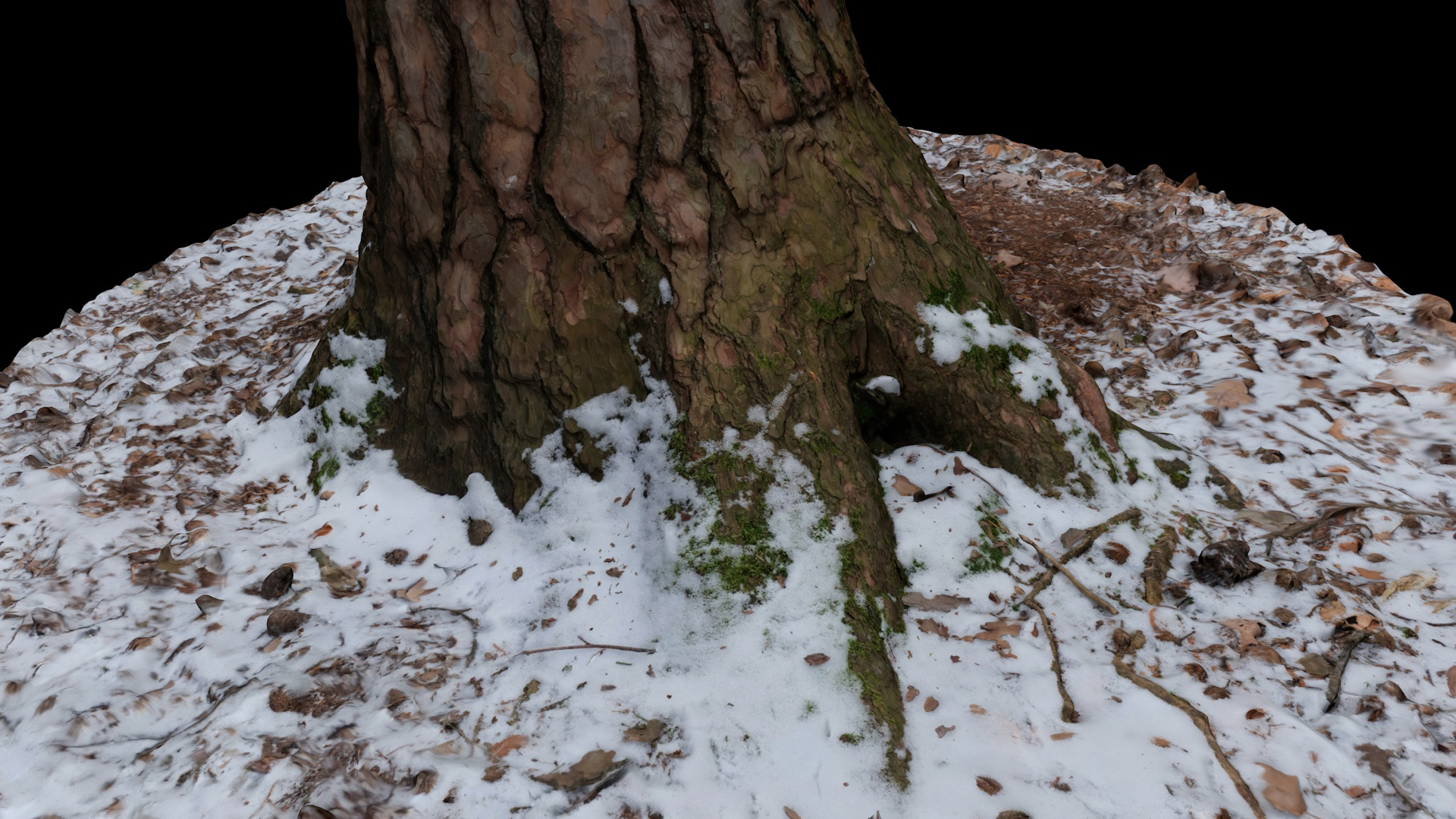 3D Swiss Winter Tree 006 Model - TurboSquid 2177987