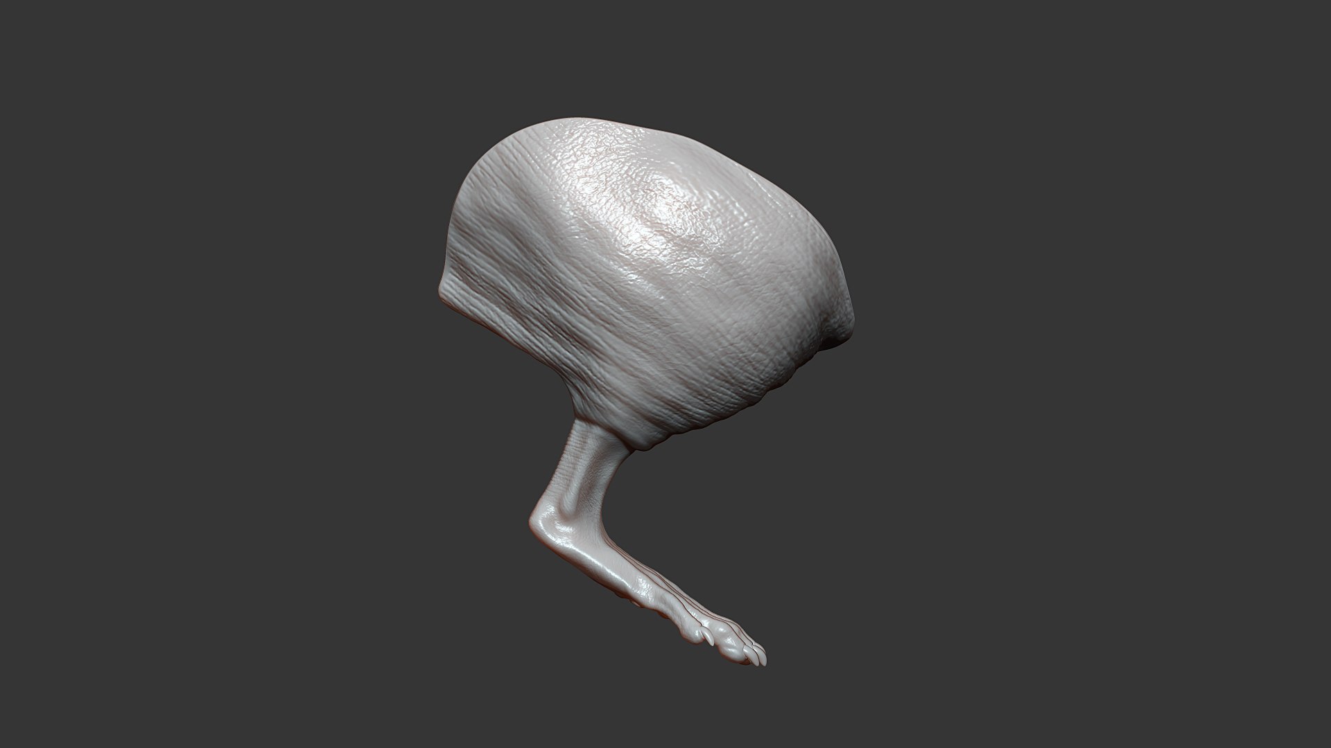 3D Rat Rear Leg Highpoly Sculpt - TurboSquid 1809936