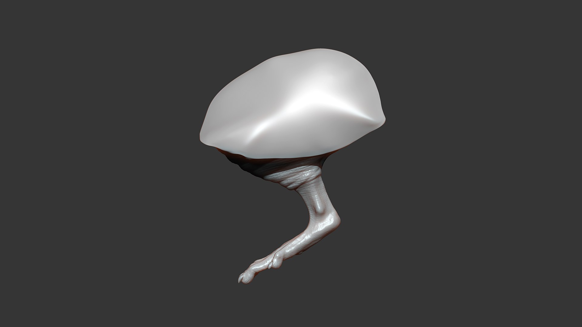 3D Rat Rear Leg Highpoly Sculpt - TurboSquid 1809936