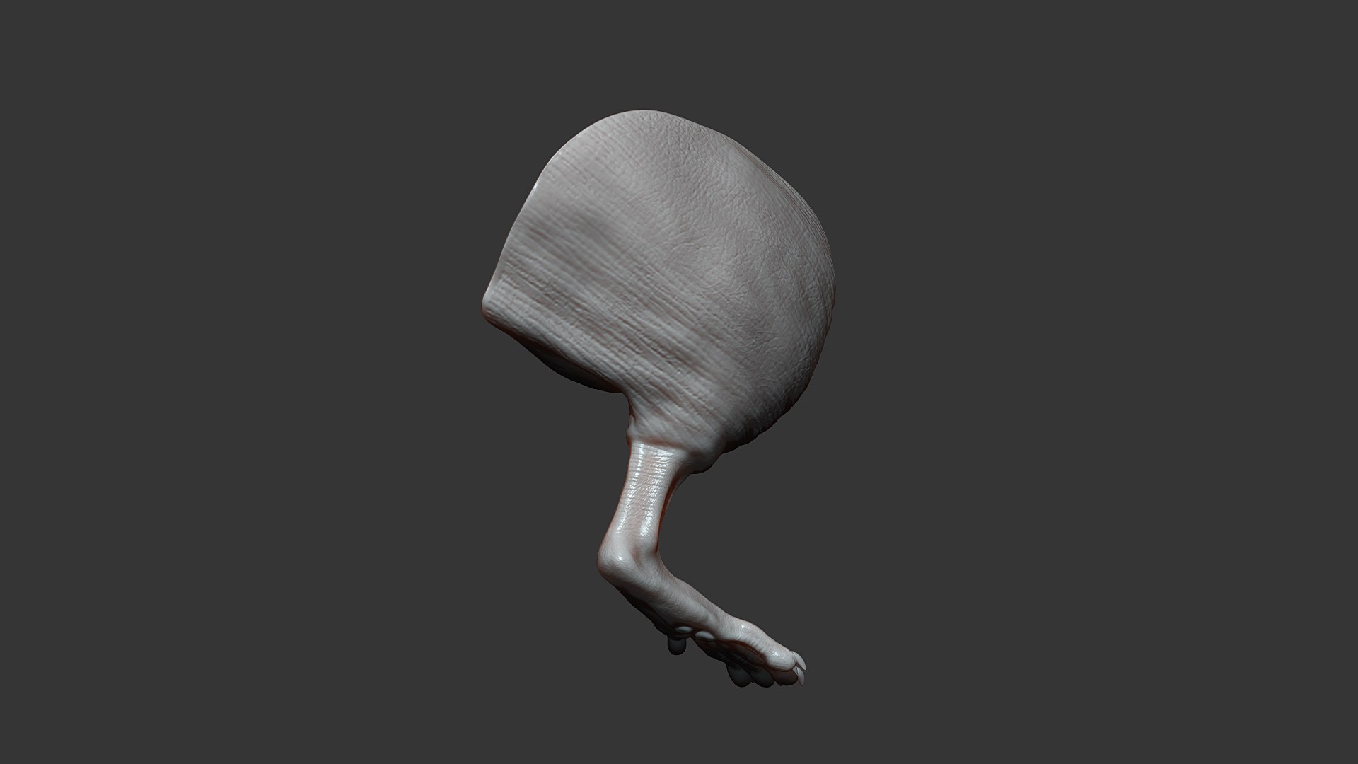 3D Rat Rear Leg Highpoly Sculpt - TurboSquid 1809936