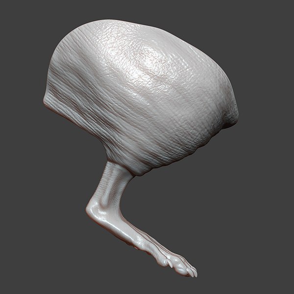 modelo 3d Escultura Highpoly de pata trasera de rata - TurboSquid 1809936