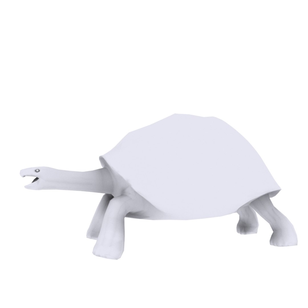 Tortoise 3D Model - TurboSquid 1162858