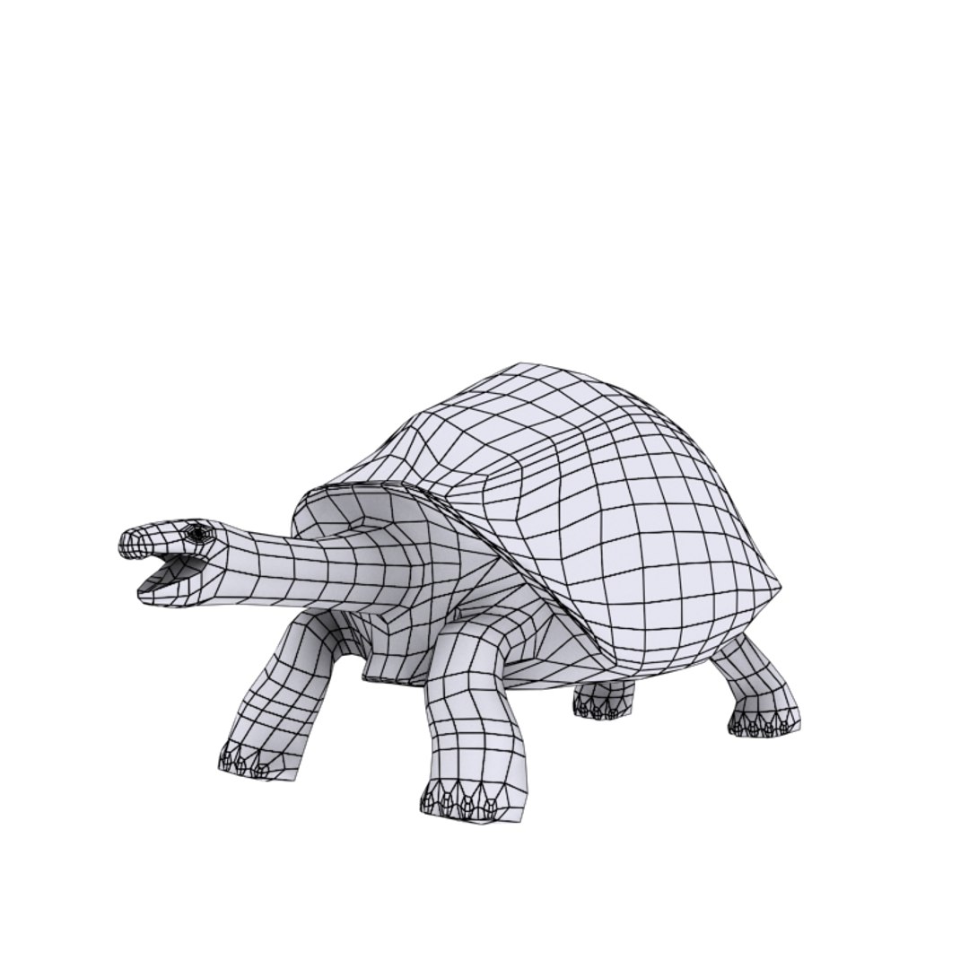 Tortoise 3D Model - TurboSquid 1162858