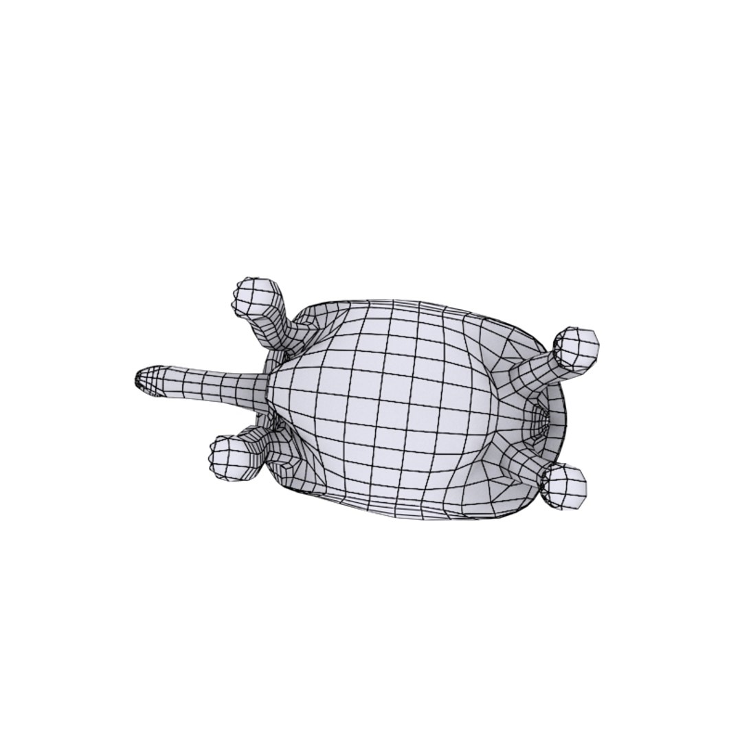 Tortoise 3D Model - TurboSquid 1162858