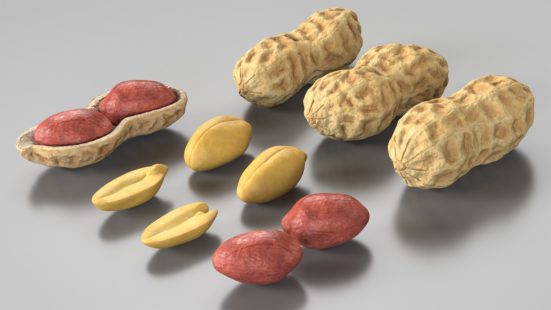 Peanuts Set Nut Model - TurboSquid 1458549