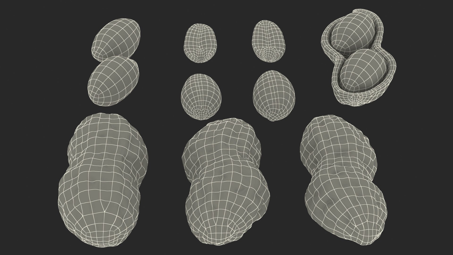 Peanuts Set Nut Model - TurboSquid 1458549