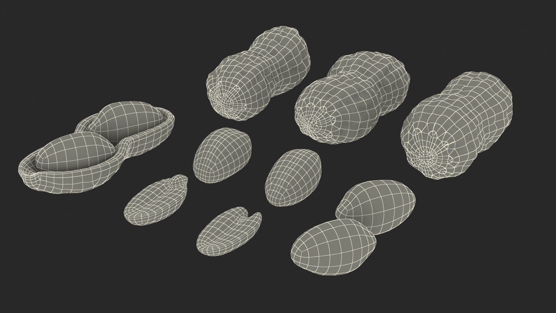 Peanuts Set Nut Model - TurboSquid 1458549