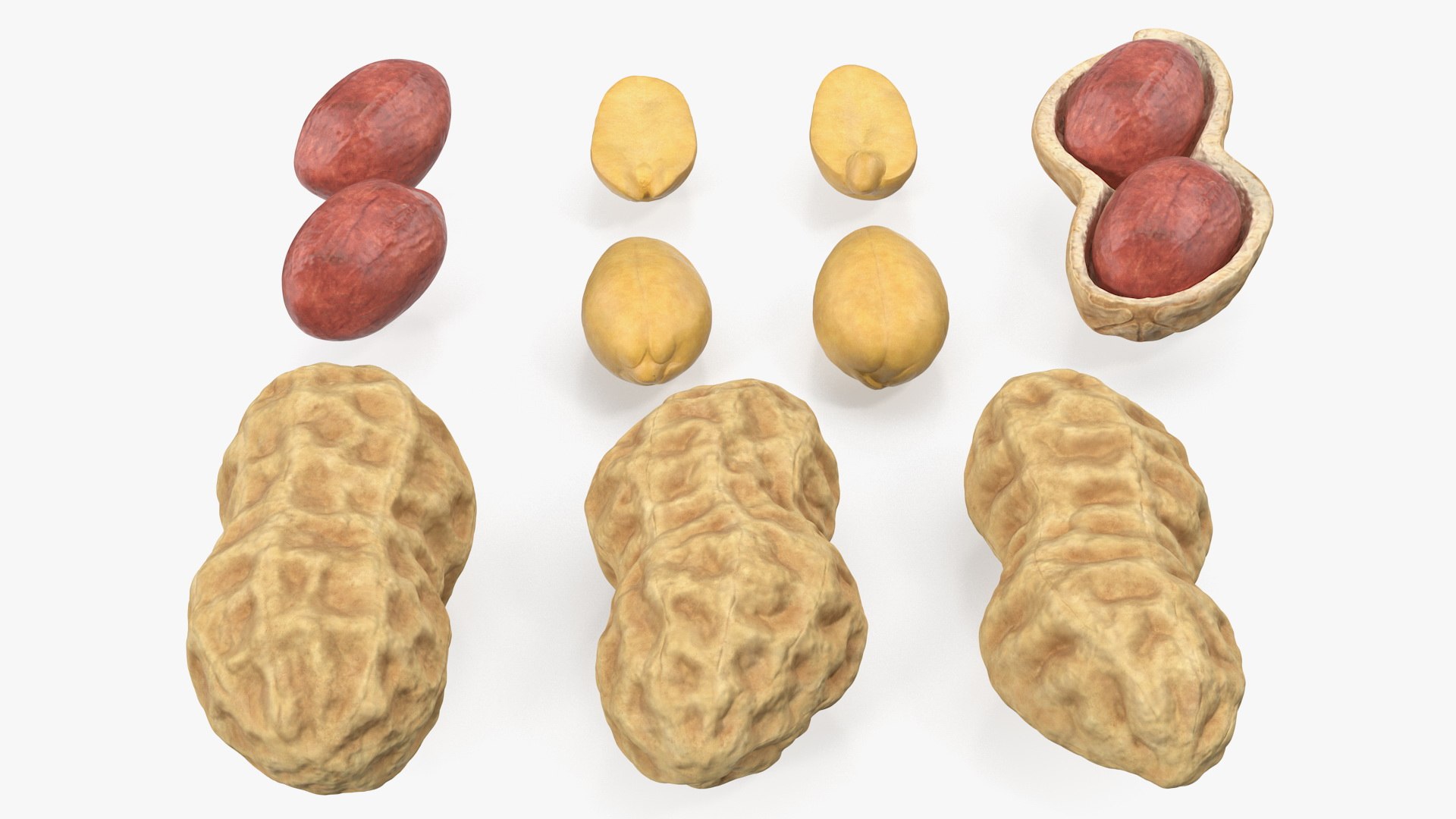 Peanuts Set Nut Model - TurboSquid 1458549