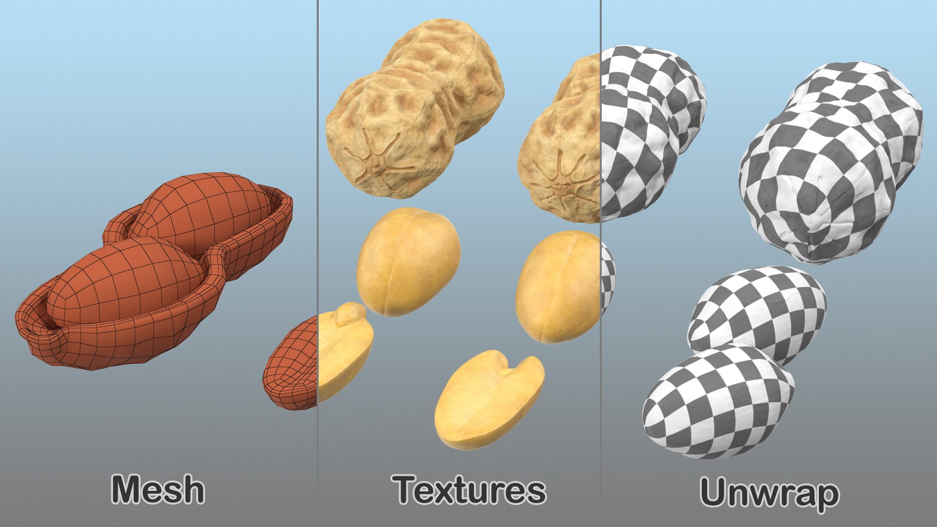 Peanuts Set Nut Model - TurboSquid 1458549