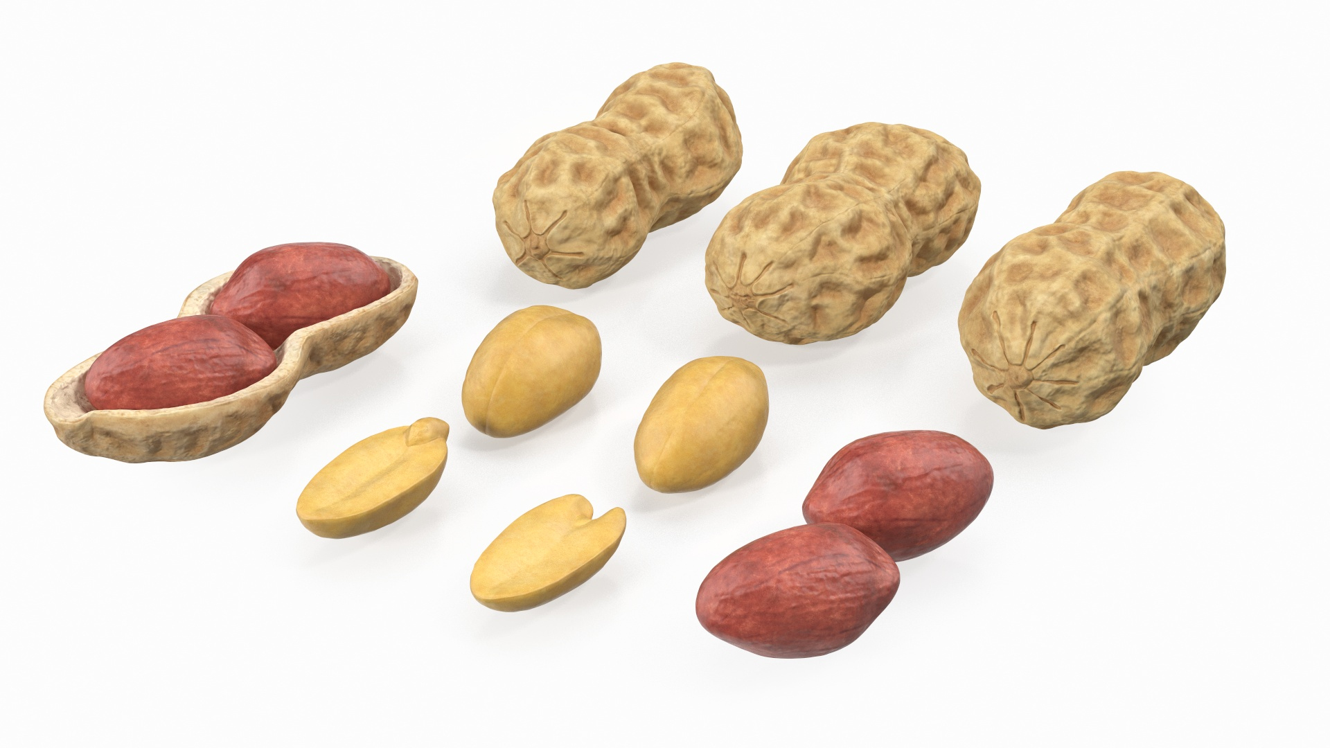 Peanuts Set Nut Model - TurboSquid 1458549