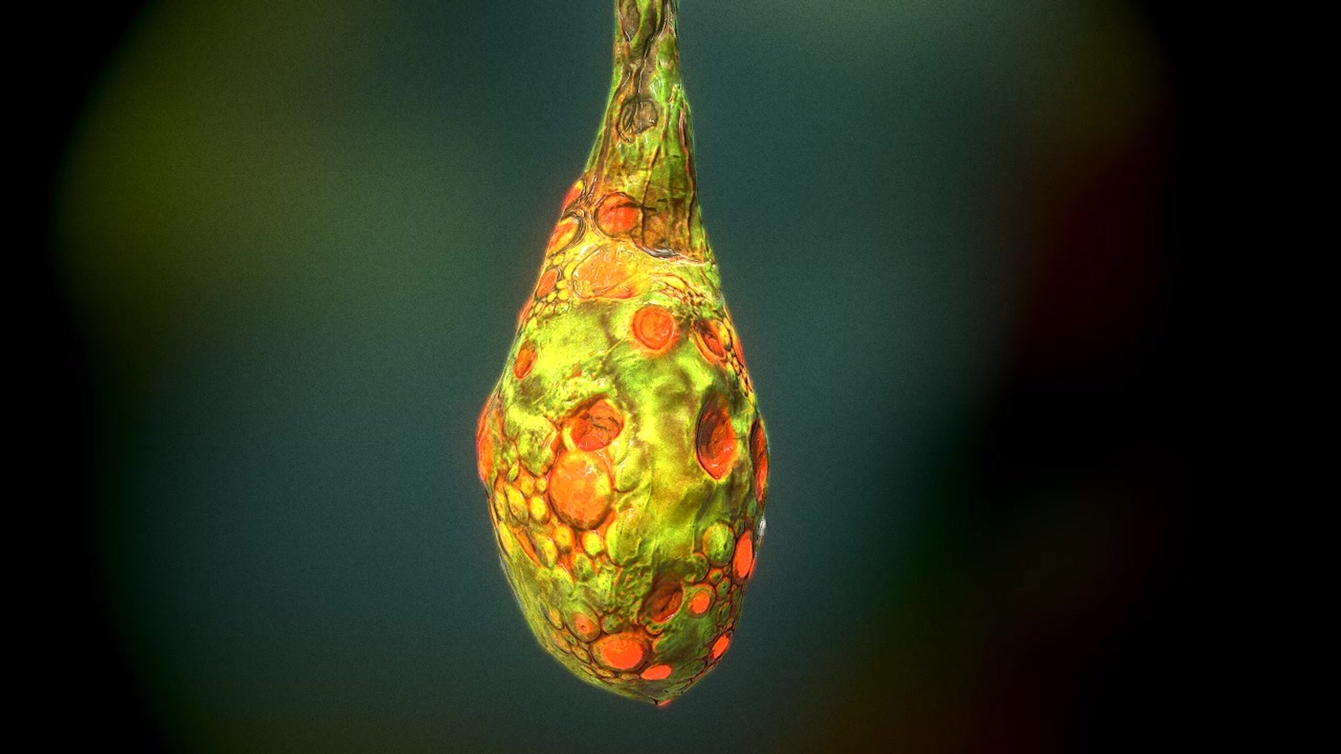 Cocoon Ready 4 3D Model - TurboSquid 1184139