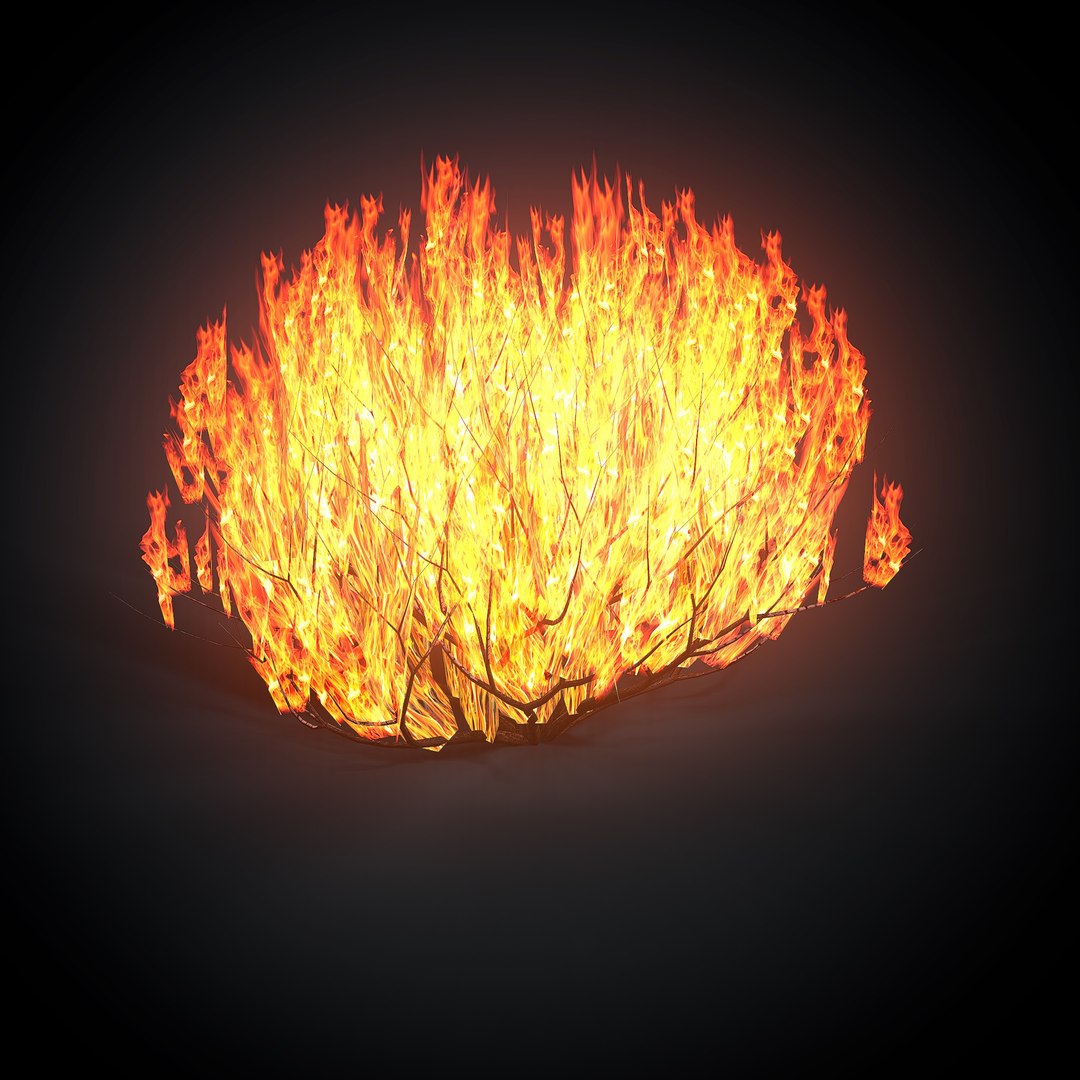 Burning Bush Forest Tree 3D Model - TurboSquid 1218962