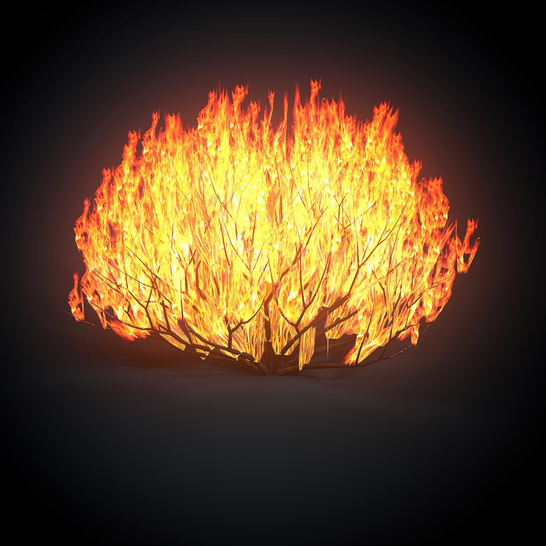Burning Bush Forest Tree 3D Model - TurboSquid 1218962