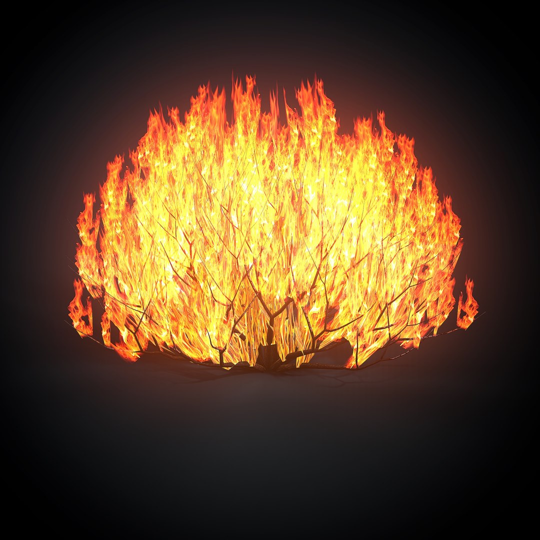 Burning Bush Forest Tree 3D Model - TurboSquid 1218962