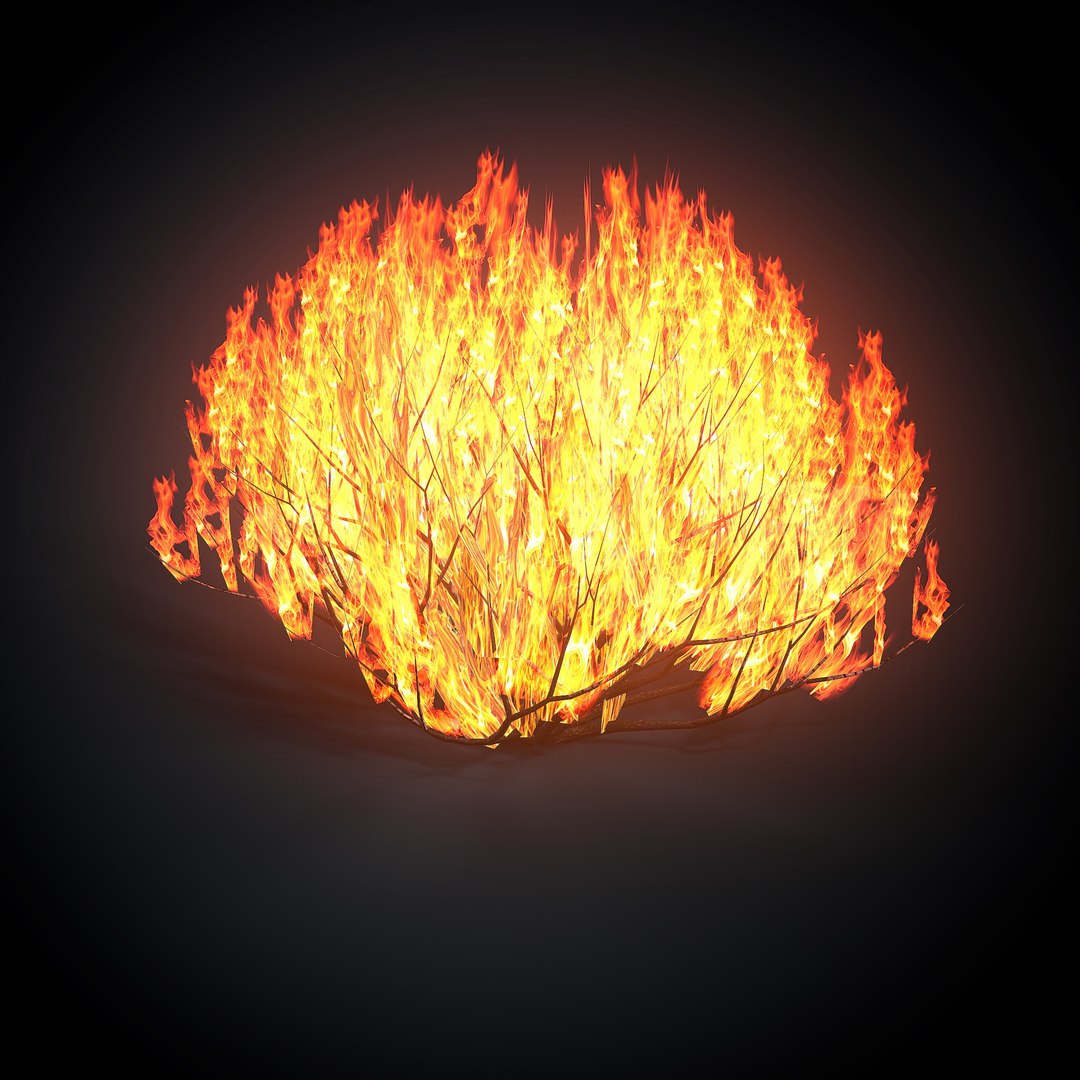 Burning Bush Forest Tree 3D Model - TurboSquid 1218962