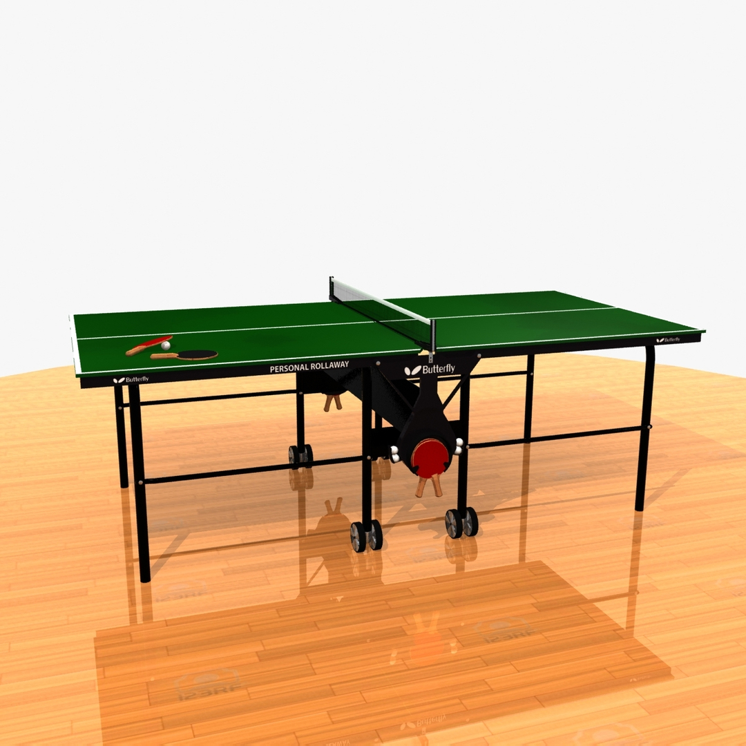Folding Table Tennis Set 3d Model
