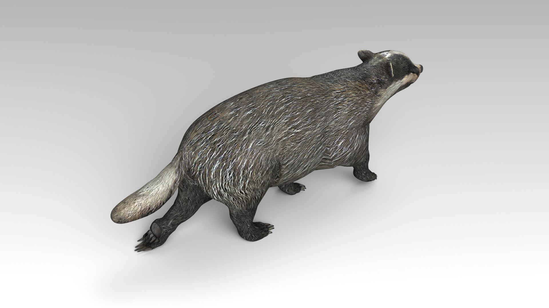 3D Badger Poser Model - TurboSquid 1709726