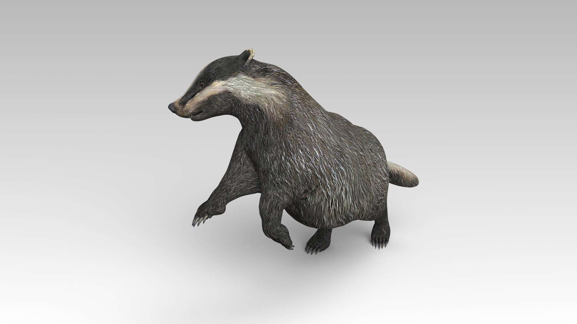 3D Badger Poser Model - TurboSquid 1709726